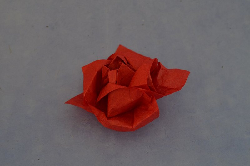 Makoto Rose 2 - Splunge