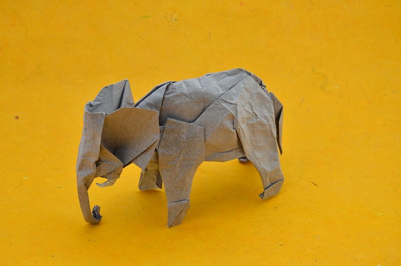 African Elephant 2 - Splunge